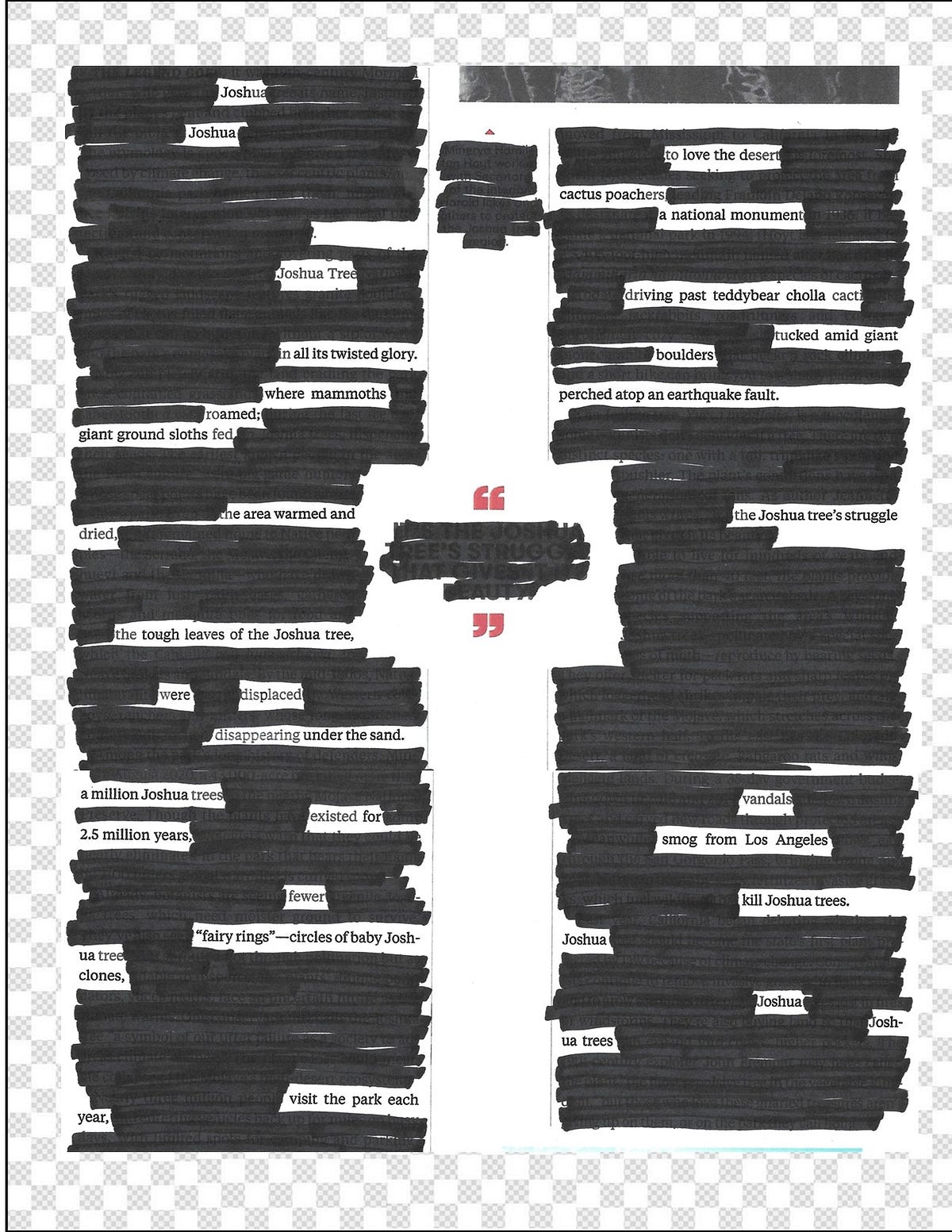 Joshua Tree. A Blackout Poem | by Marilyn Wolf | The Howling Owl | Medium