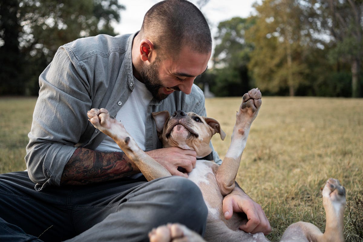 The Most Vicious Breed of Dog in the World. | by Jose Luis Ontanon ...