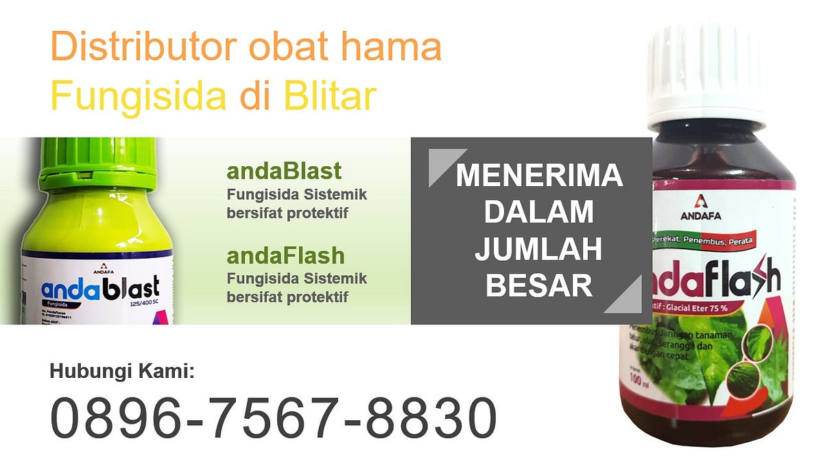 Distributor obat hama Fungisida di Blitar | by Bimbingan Kerja ...