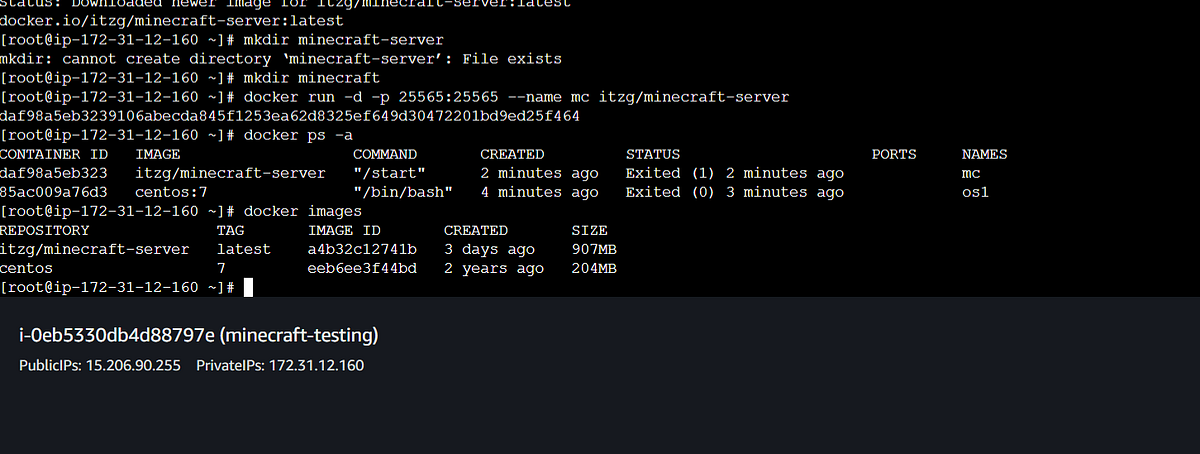 Creating a Minecraft Server on AWS EC2: A Step-by-Step Guide - Shivansh ...