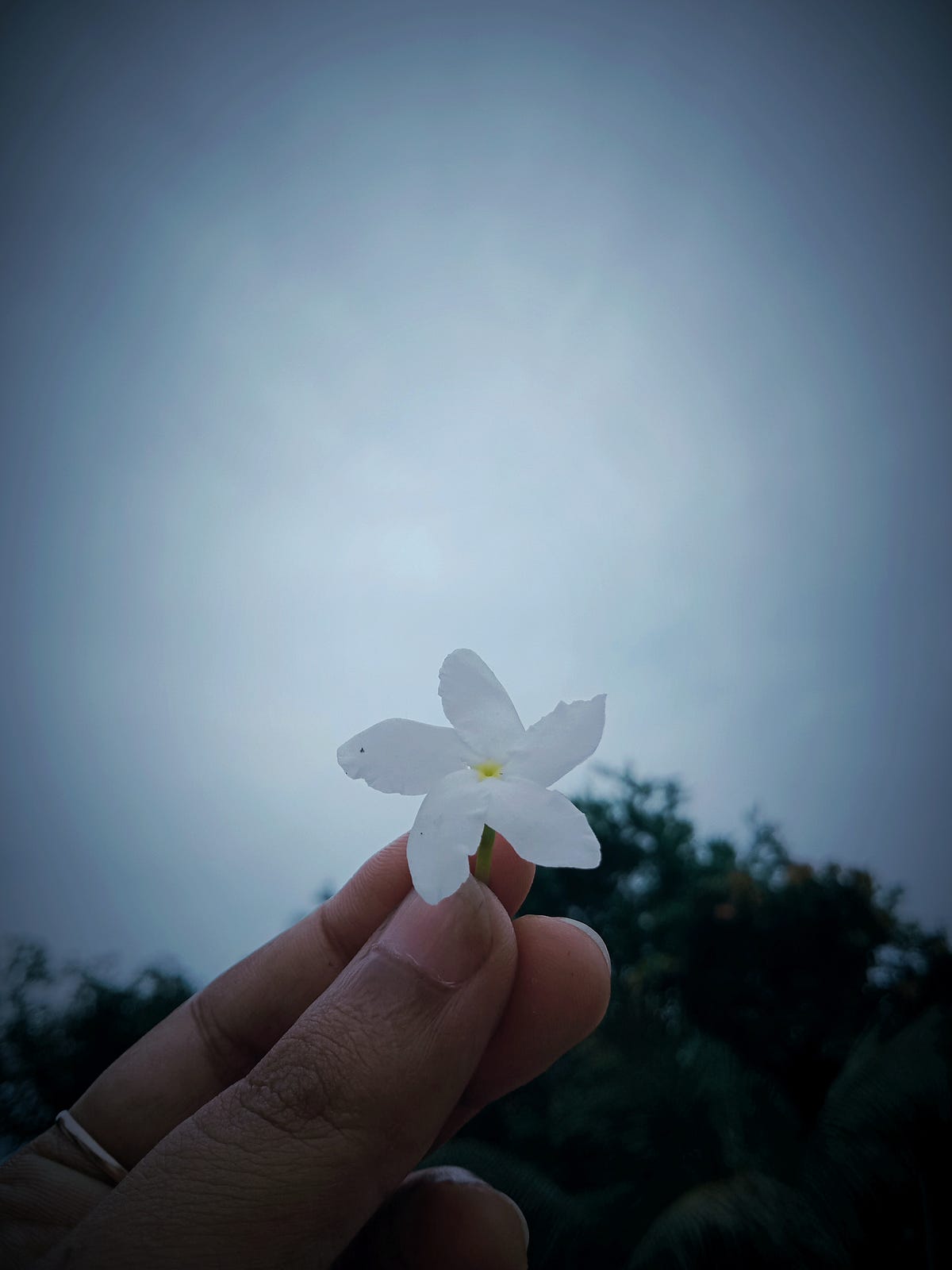 "The Light of Silence" A fragment of stillness held between fingers ...