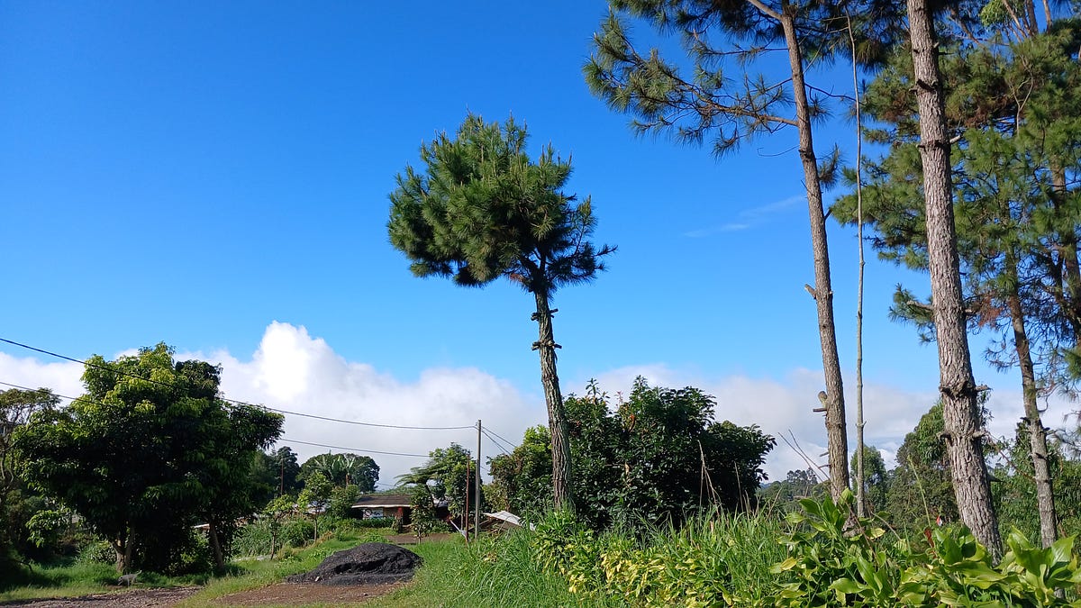 Exploring the Enchanting Trails of CIC Bandung | by Riris Ismidiyati ...