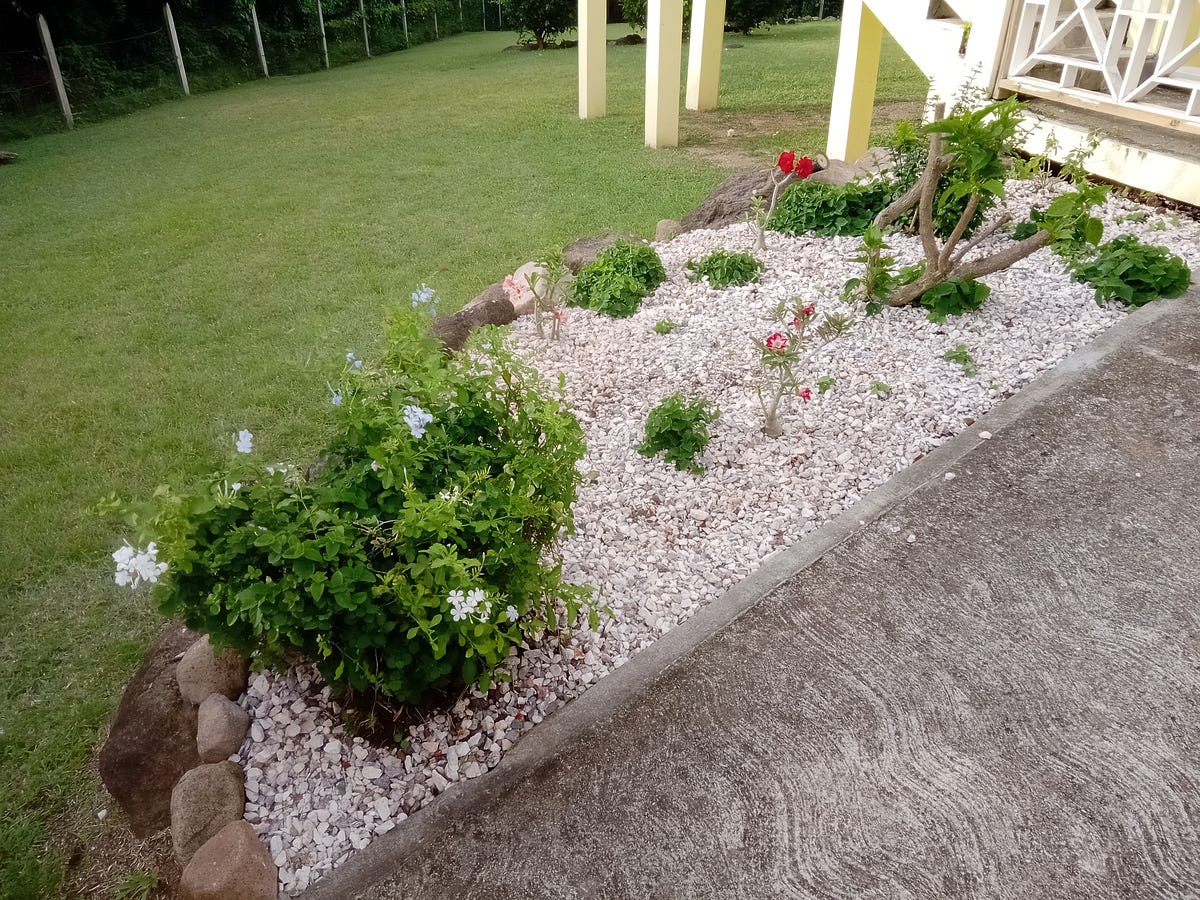 Gorgeous Garden Additions - The Daily Cuppa - Medium