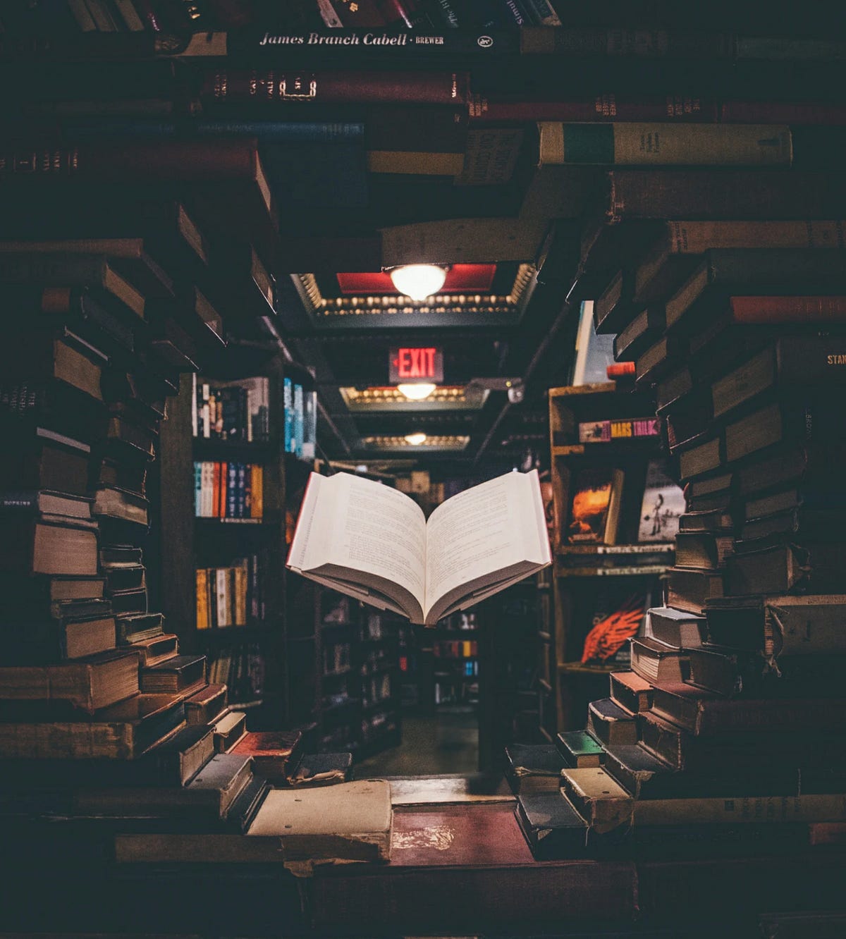 I Opened A Book. I opened a book and fell heart first… | by Lydia Joy ...