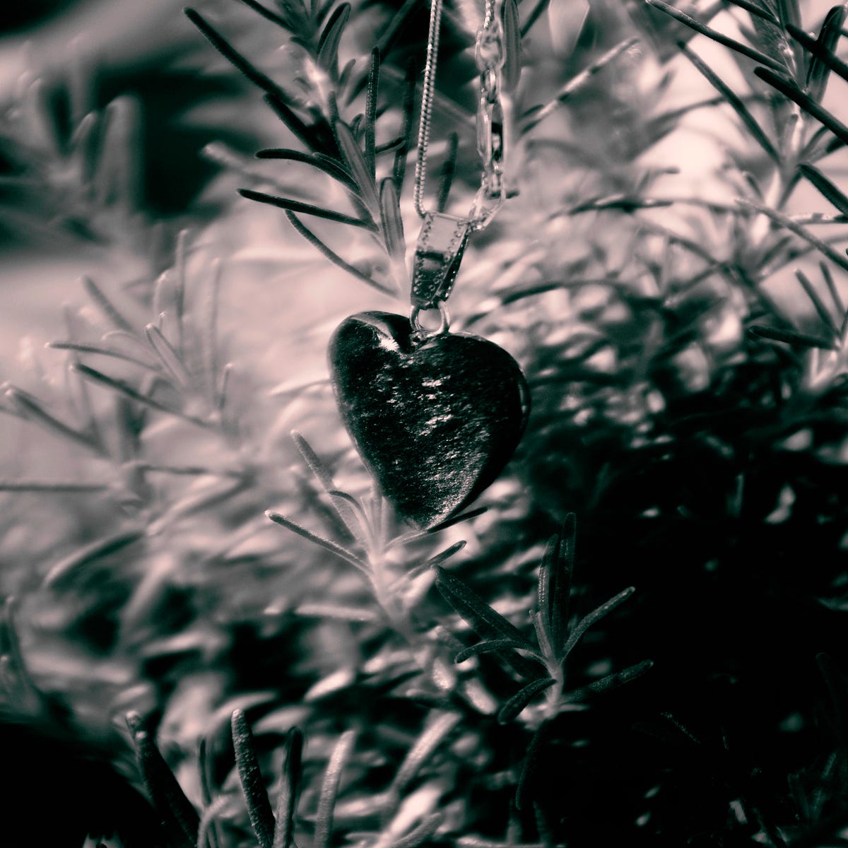 Amorphous and Complete. Best feedback ever. | by Maria Sokolowska | Medium