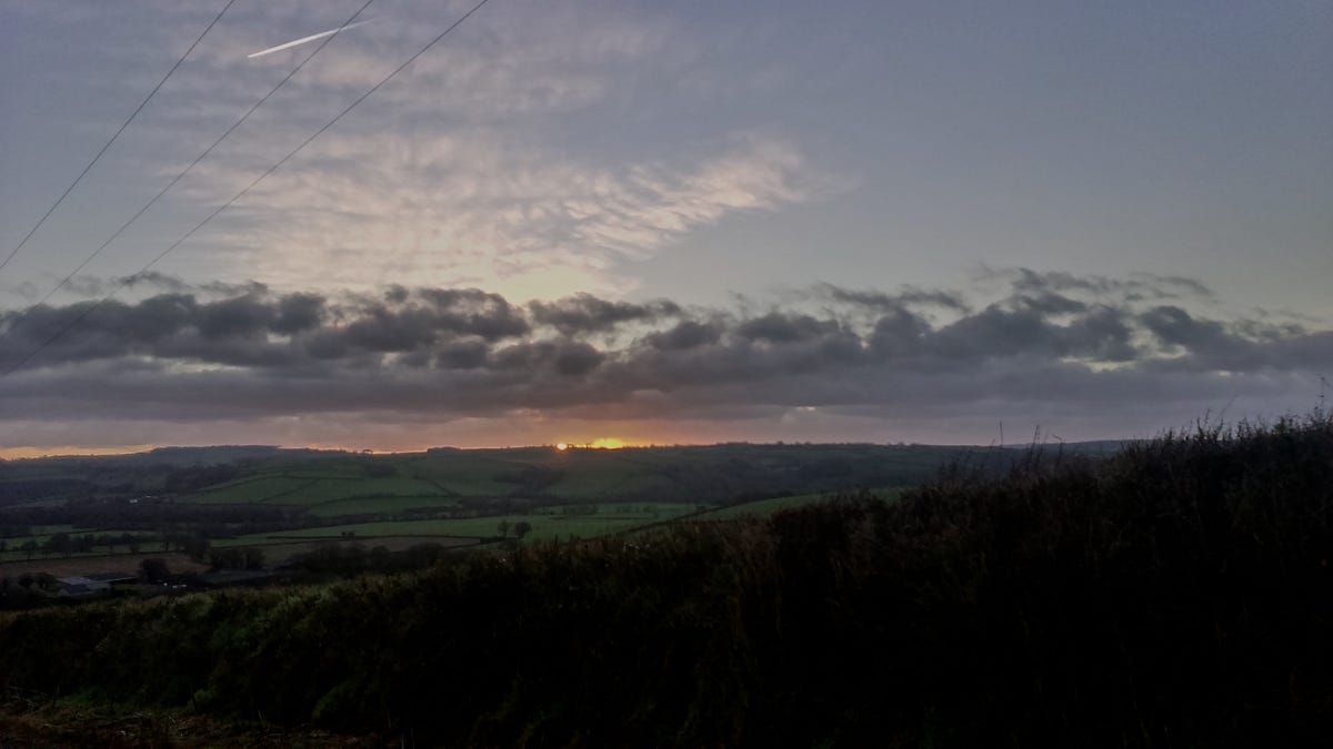 Winter Walk. Here, in the field, early, I turn… | by lisa southard | Medium
