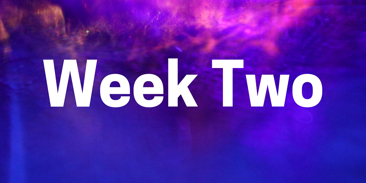 Week Two Update. Hey! You have stumbled across a page in… | by Katie ...