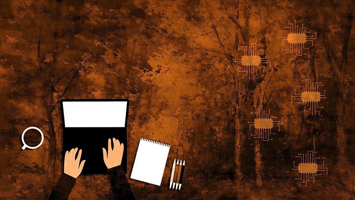 Train Your Custom Deep Learning Model In Aws Sagemaker By Nahid Alam Towards Data Science