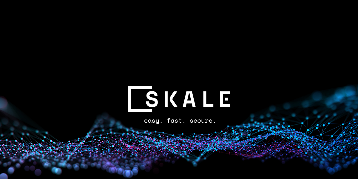 SKALE NETWORK — is a flexible blockchain network designed to optimize ...