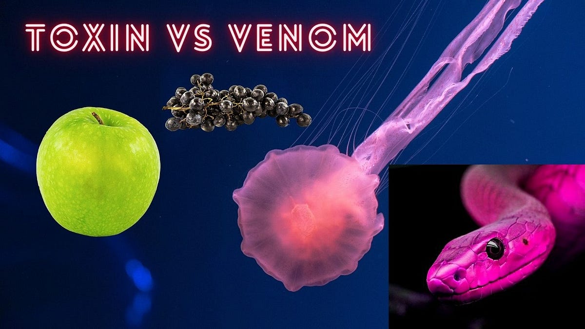 Toxin vs Venom: Top 12 naturally occurring toxins in food - jibhai.com ...