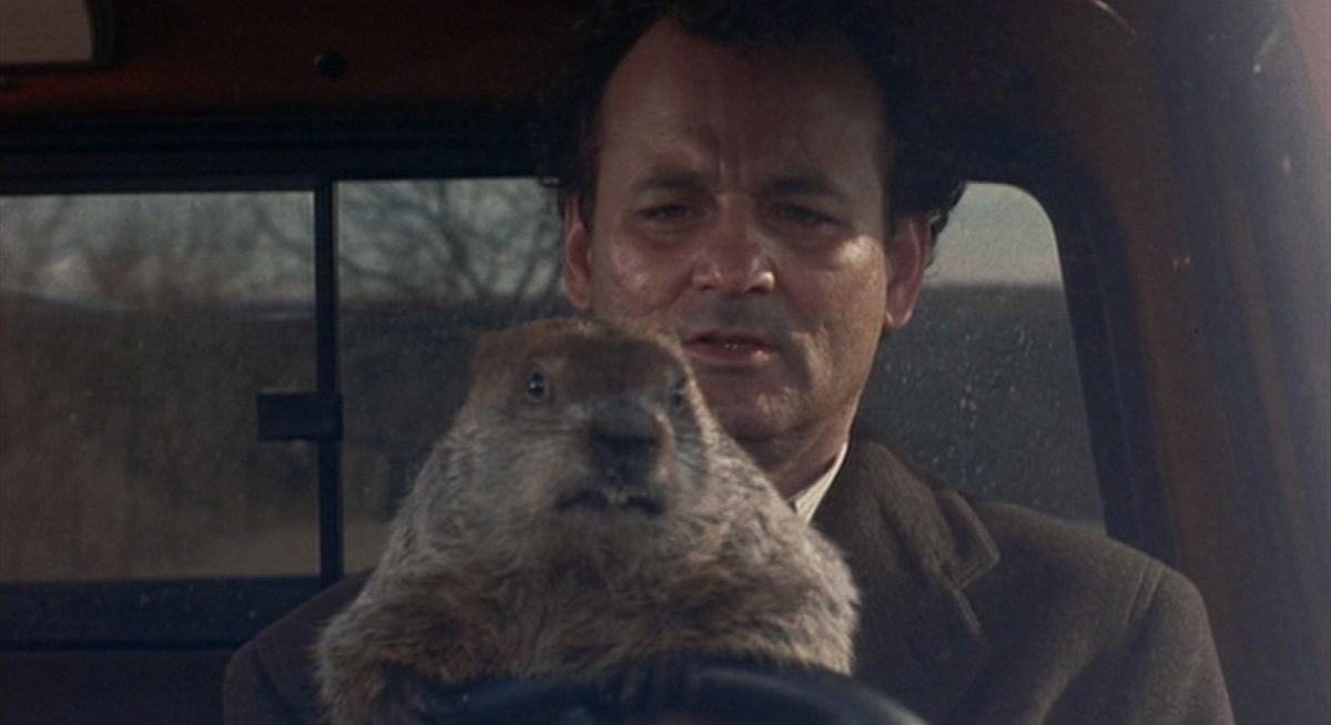 The Time Loop. Movies you’ll want to watch over and… | by Lydia Ann ...