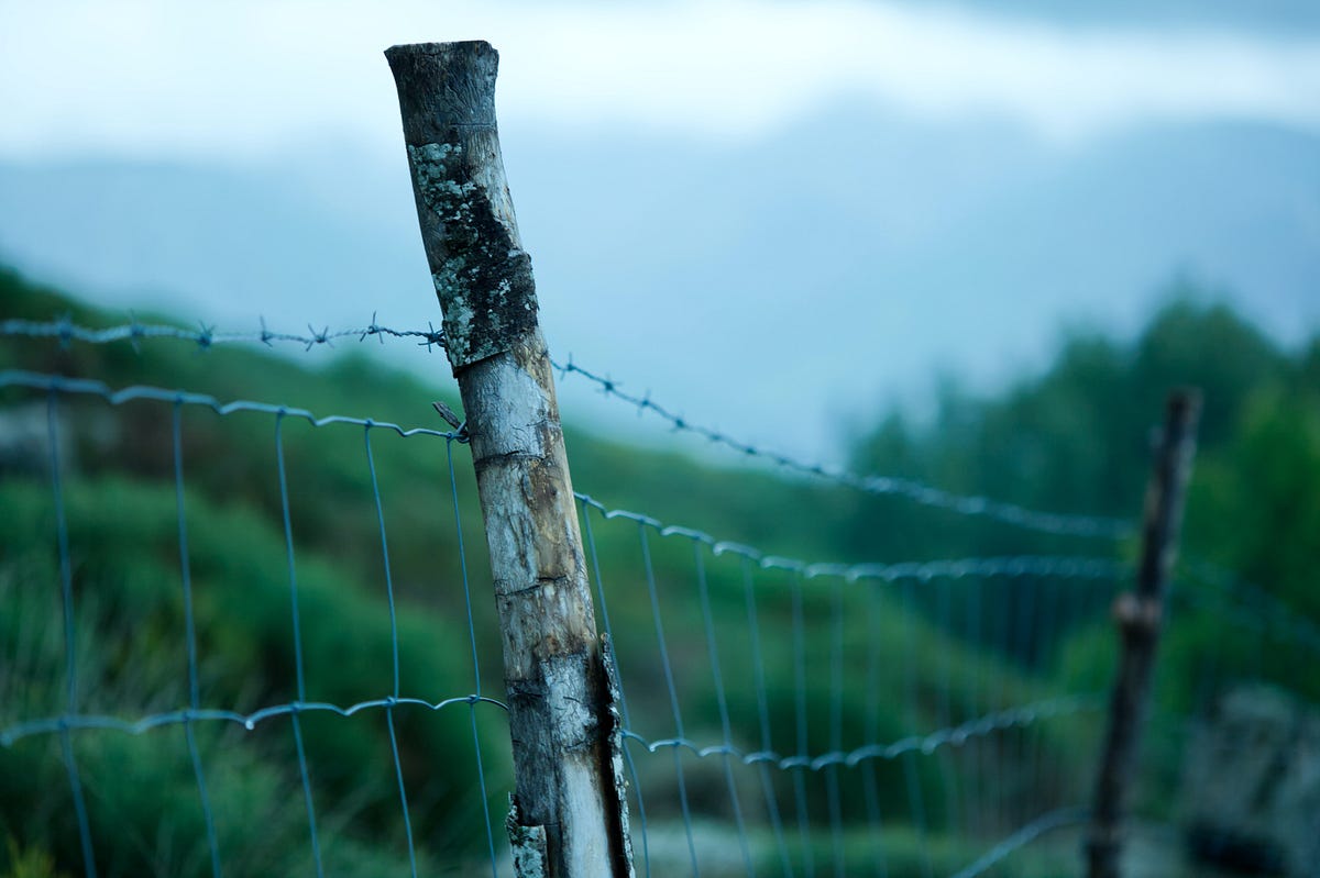 Leaving traces. (Part 1). Not once in a lifetime that I feel… | by N o ...