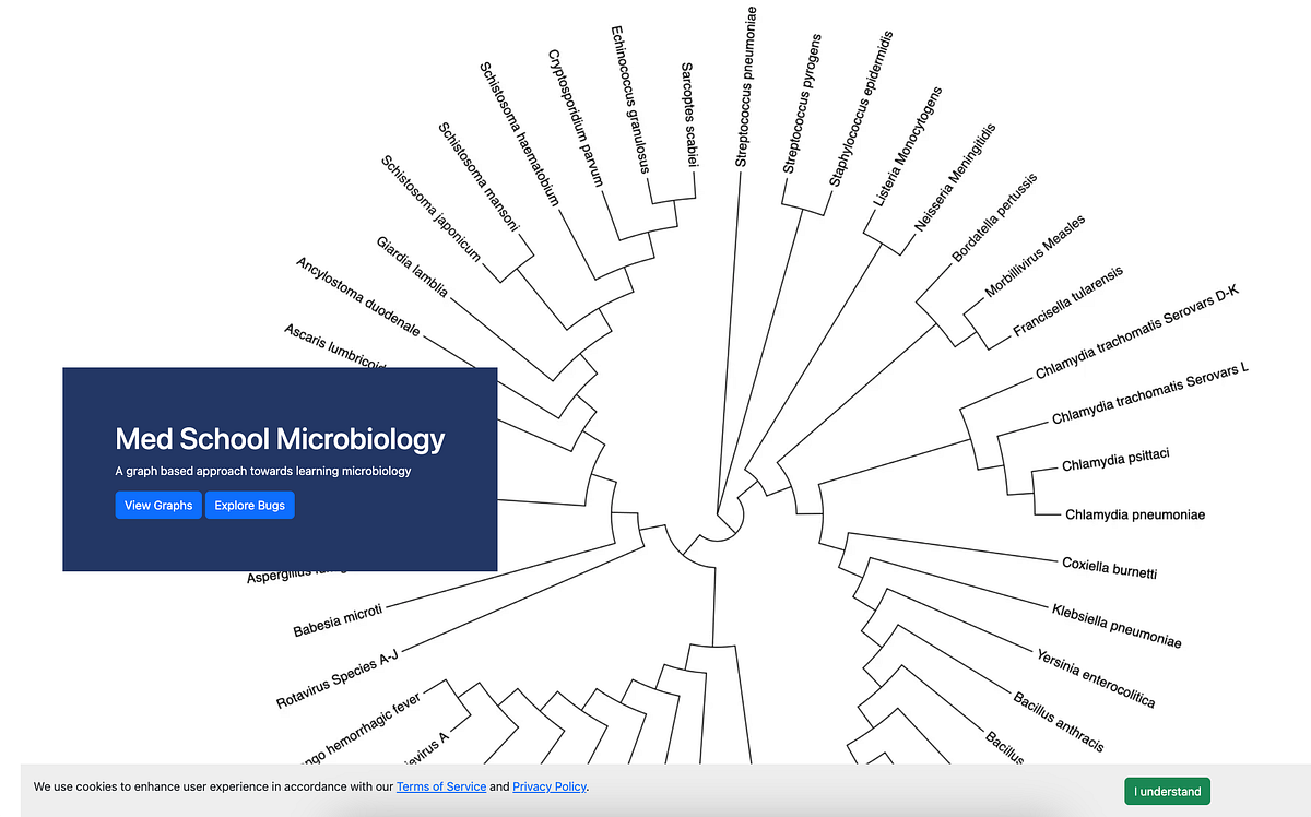 Employing Graphs to Learn Microbiology | by Banana Chip Tech | Medium