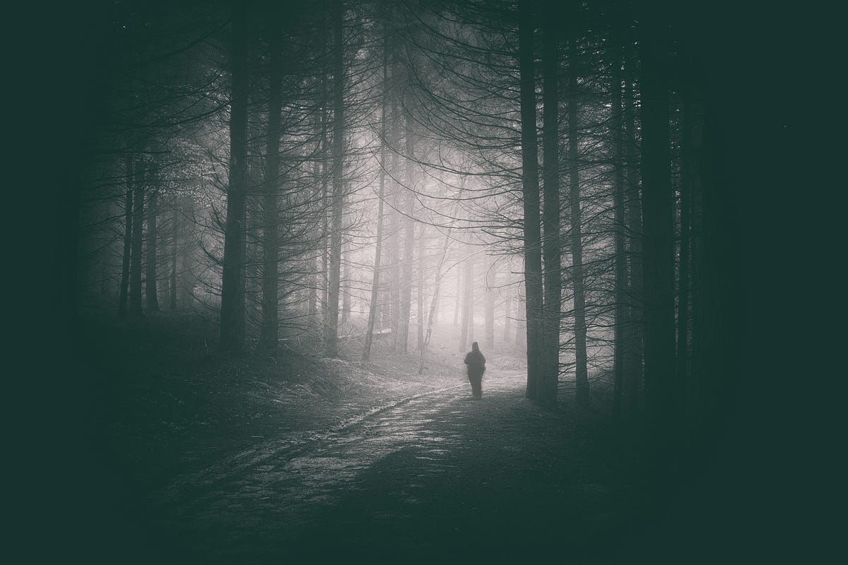 Wandering into the Darkness. The universal conspiracy to save me… | by ...