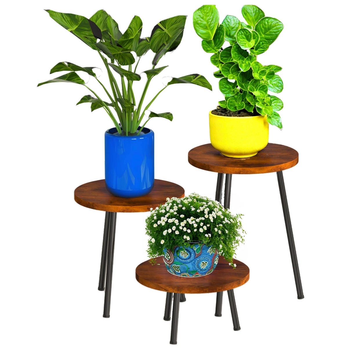 corner plant stands indoor. Transform your indoor space with a… | by ...