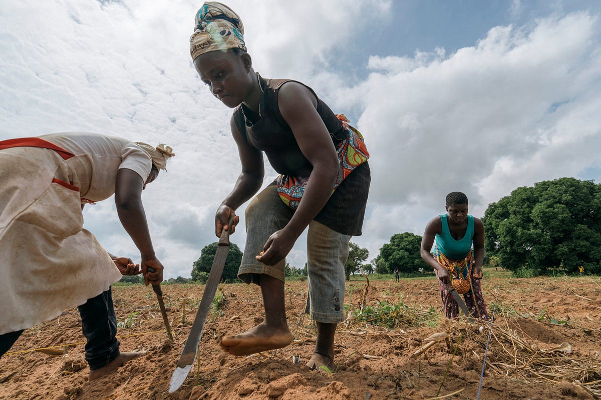 Can we end poverty and preserve the planet? | by Grameen Foundation ...