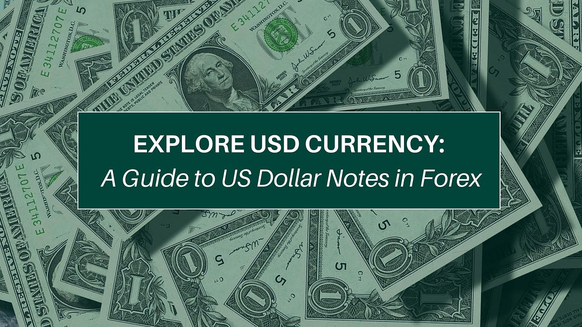 Explore USD Currency: A Guide to US Dollar Notes in Forex | by Supreme ...