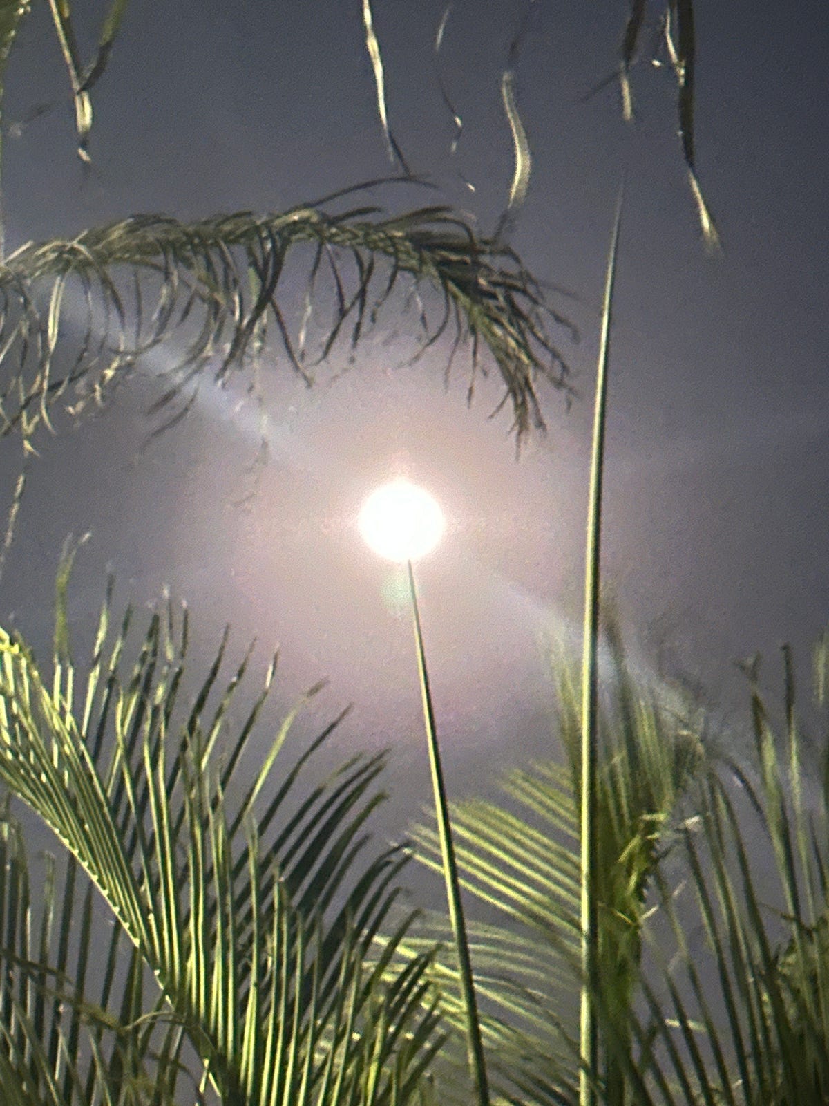 A Goodbye Letter On the Full Moon - Mistress Voices - Medium
