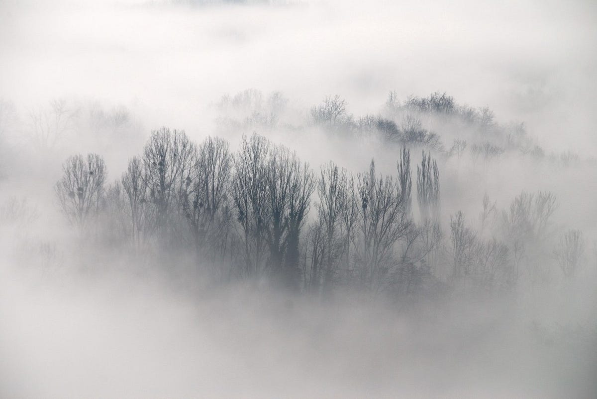 Family Fog. written December 7, 2015 • [#32 from… | by Kinde Nebeker ...