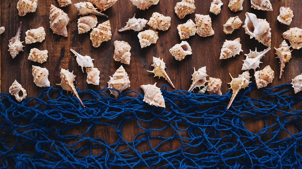 From Evidence To Answers Navigating Forensic Ctf Challenges With Skill — Part Ii By Hadiqa