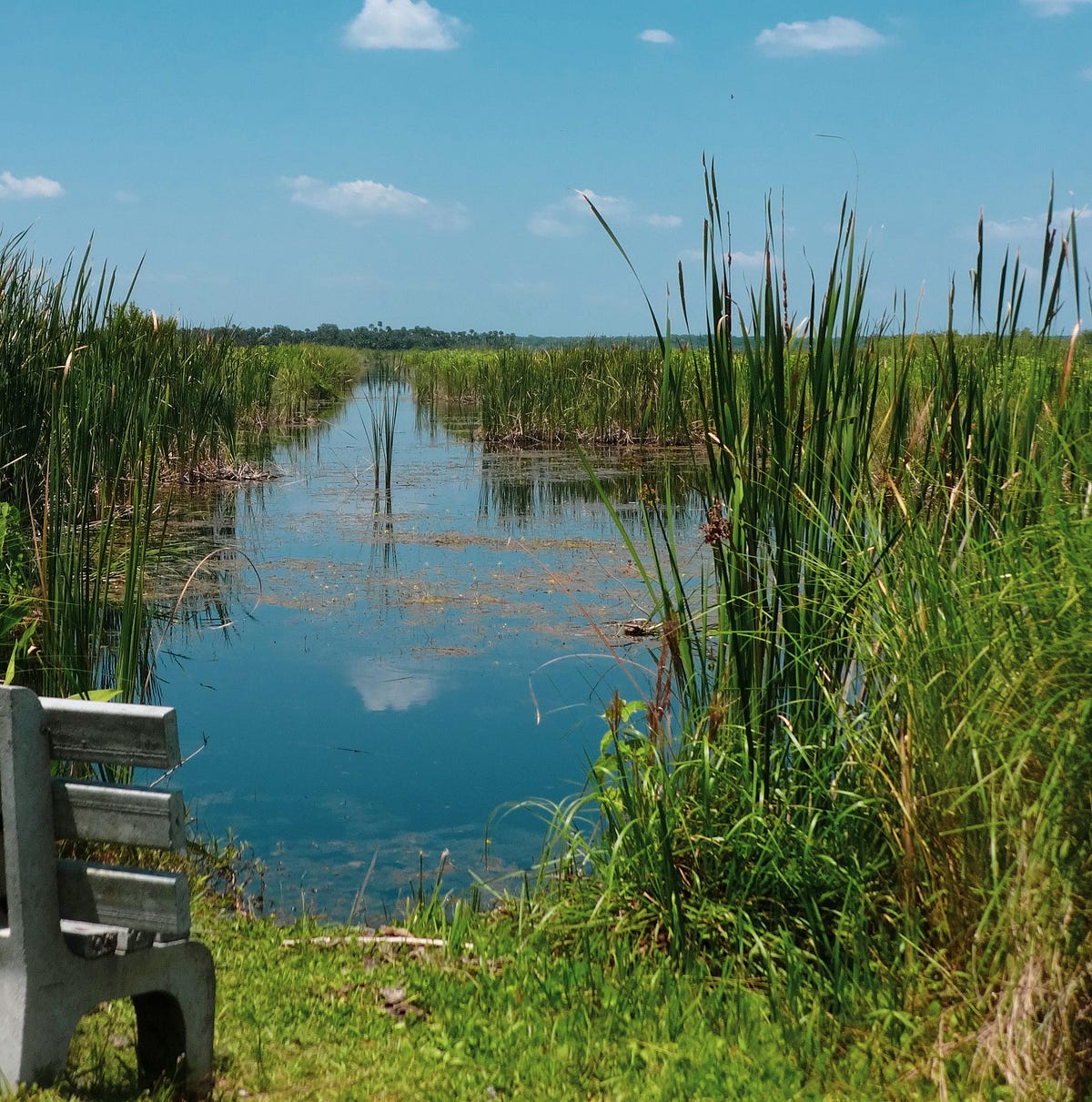 Homebody, Dikes & Bike Trails: Chuck Lennon and Lake Woodruff | by ...