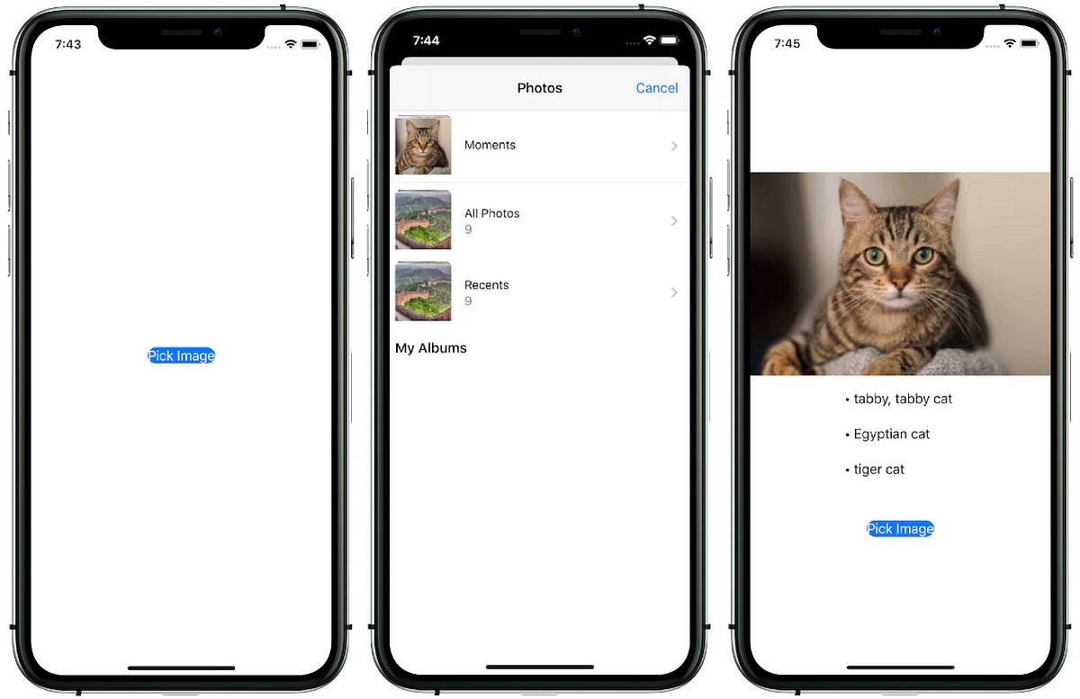 On-Device Machine Learning with SwiftUI and PyTorch Mobile | by Peter ...