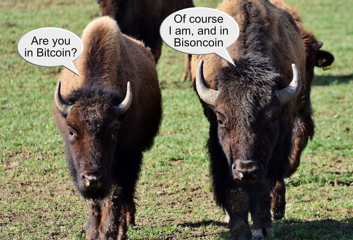 Soon We Will All Be Cryptocurrency Users | by Robin Bloor | Permission ...