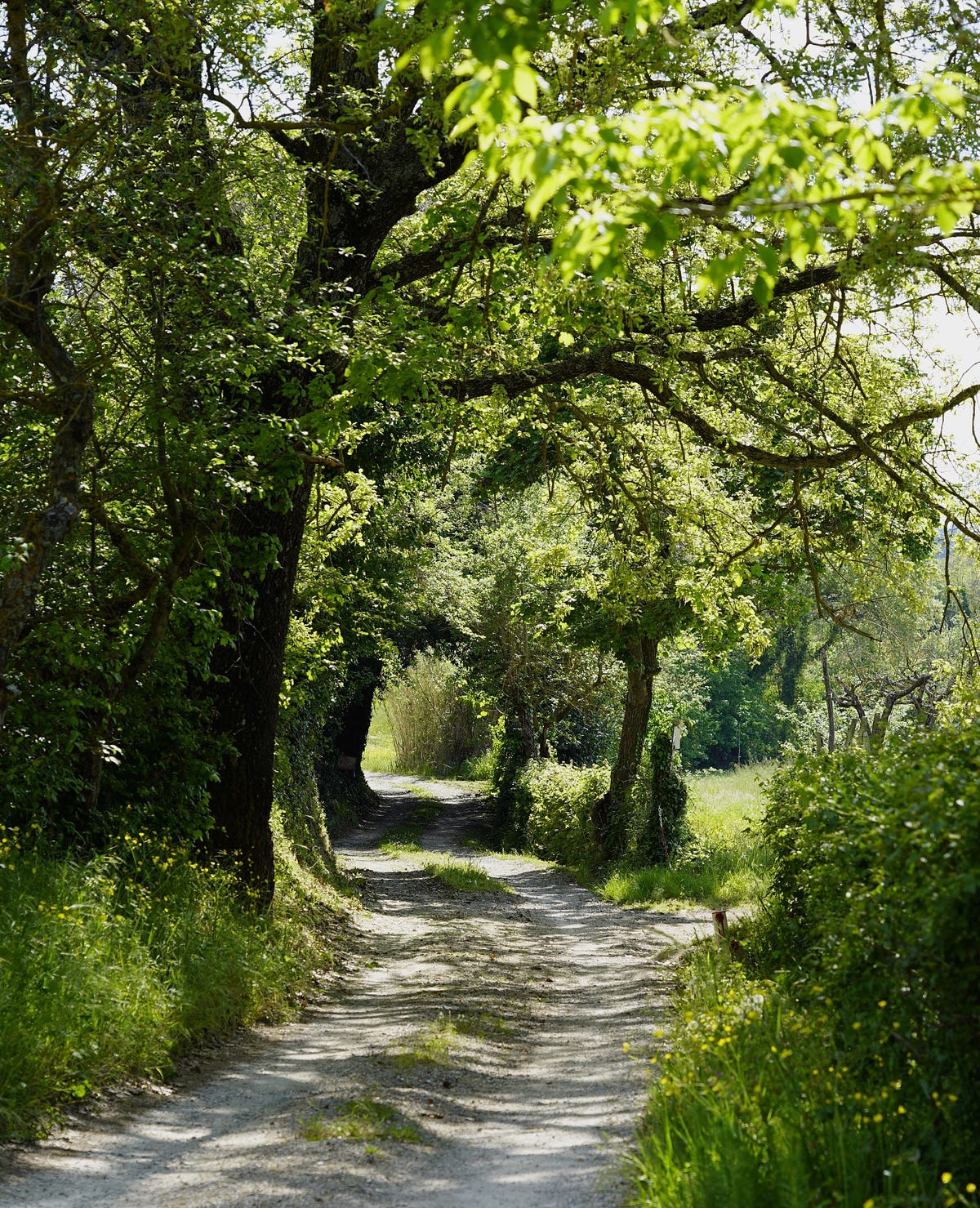 The Best Books to Help You Practice the Intentional Pause for ...
