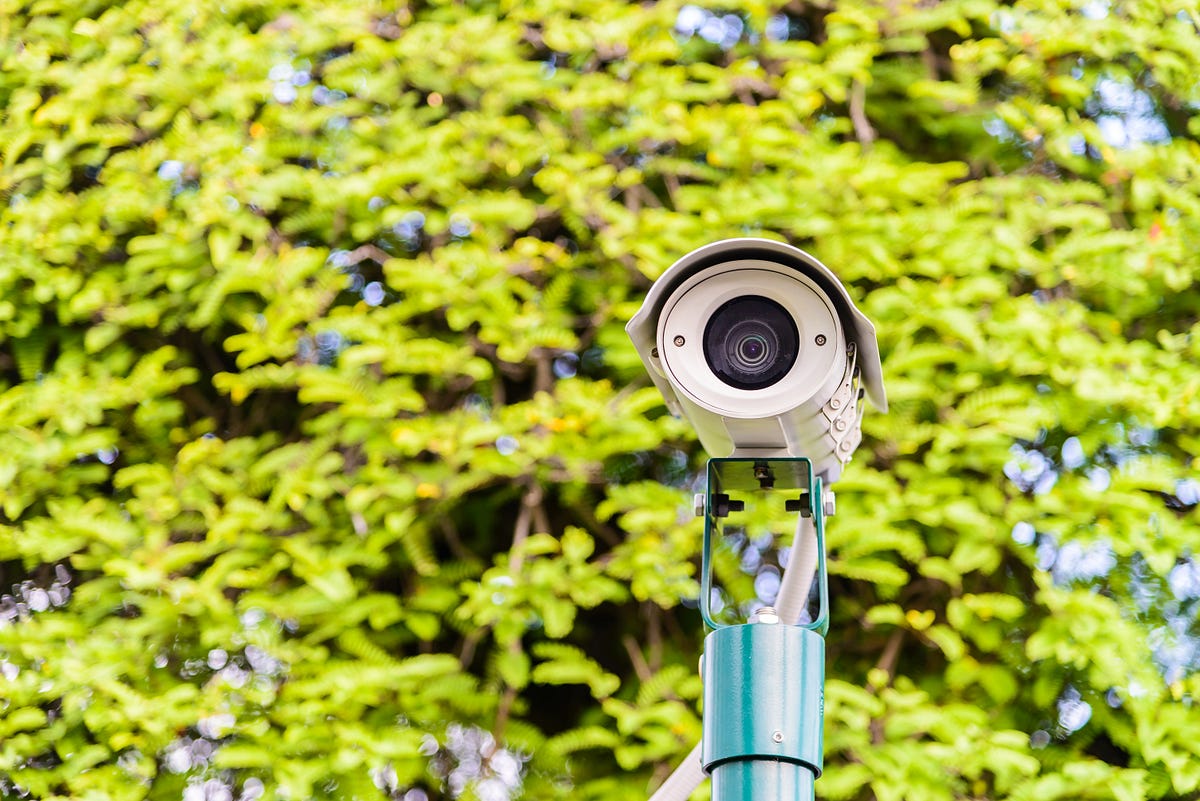 How to Choose the Best Security Camera Installation Mornington ...