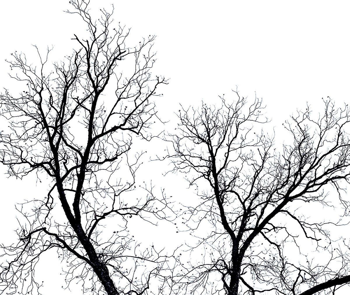 May the Sadness Be - Catharsis Chronicles - Medium