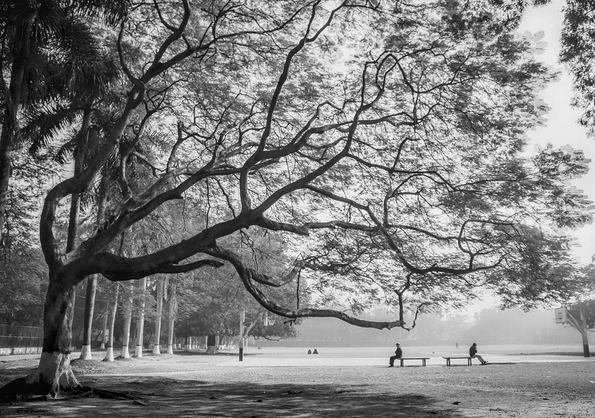 Surviving University Chaos: Lessons in Calm | The Ink Home