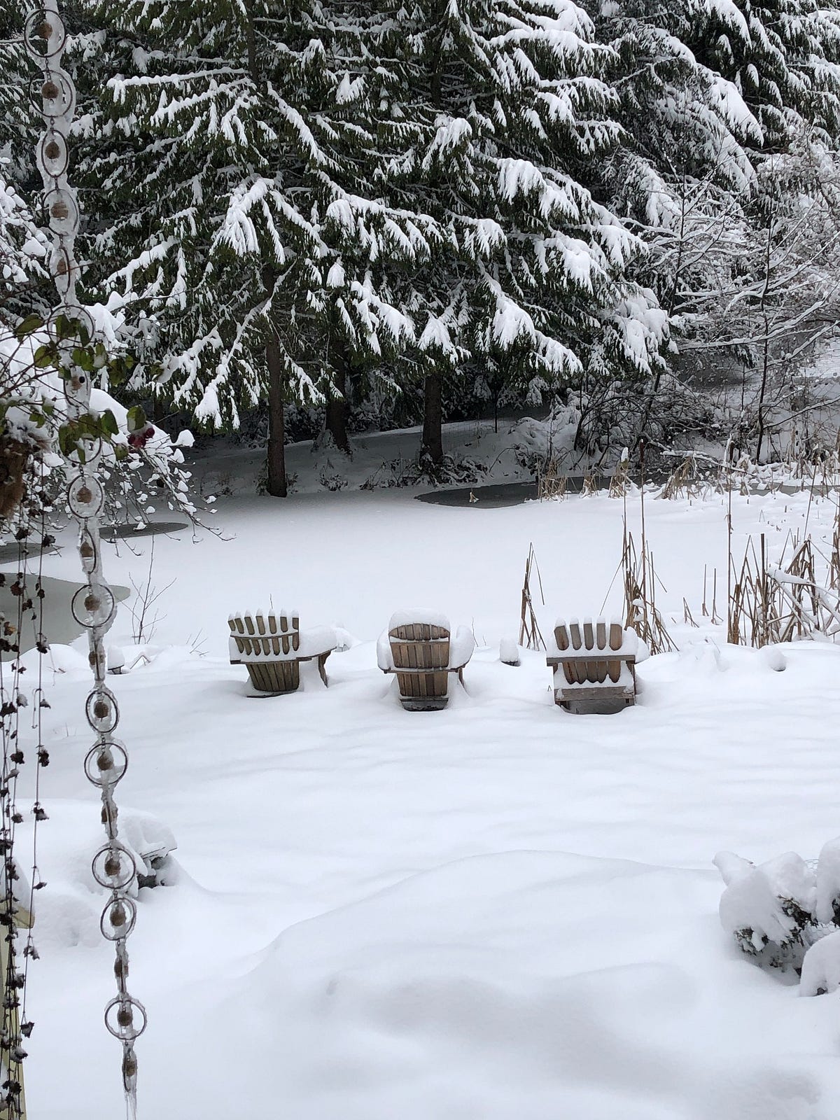 Notes from the End of our Third Full Day of Being Snowed In | by ...