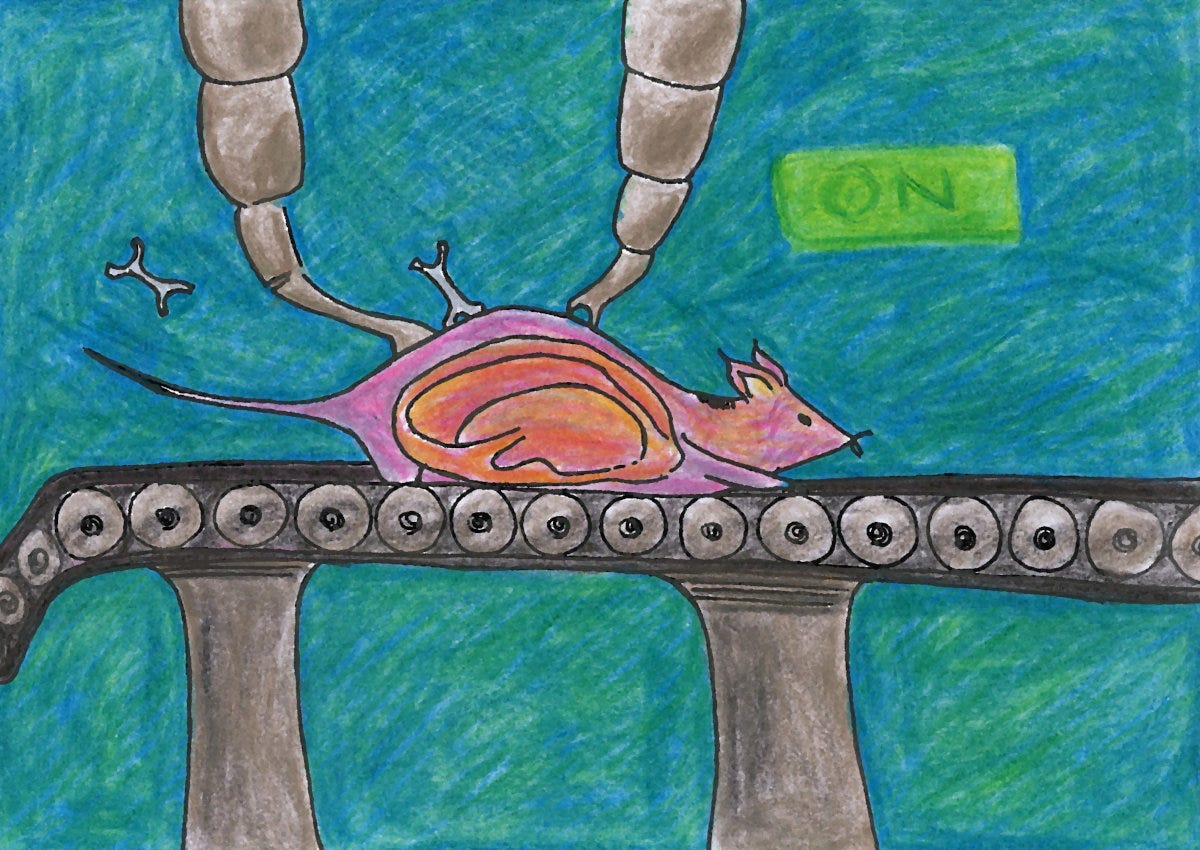 Mouse with a Human Ear. Fixing machines is easy; fixing living… | by ...
