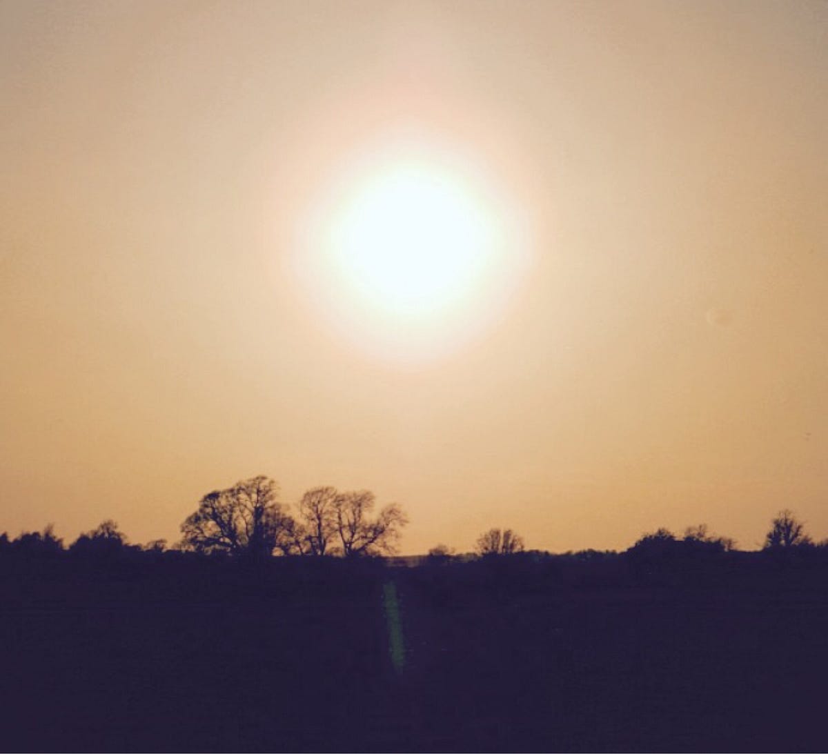 The Vellum Sun. At the edge of my badlands | by I'm Nick I am | Medium