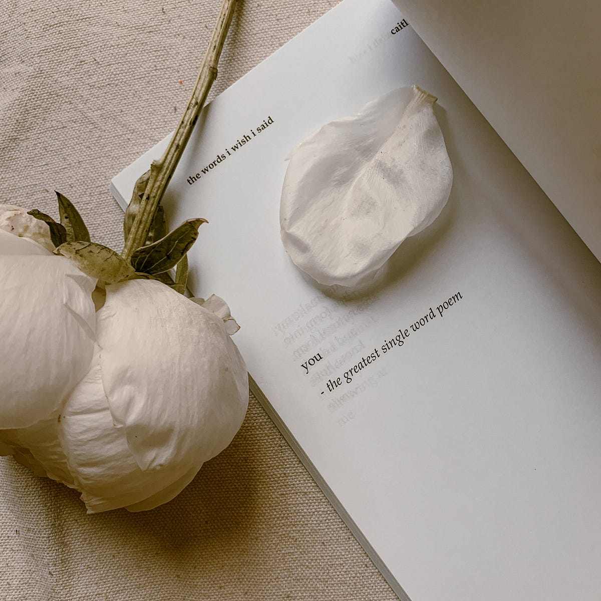 You are Poetry - June - Medium