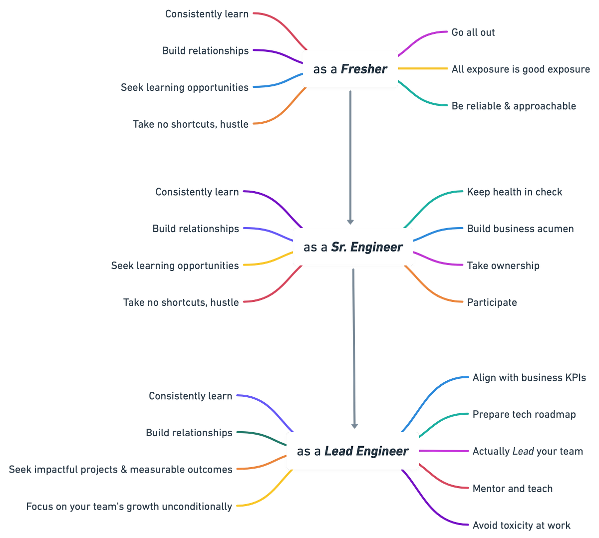 Fresher to Lead Engineer. Navigating the early stages of a… | by ...