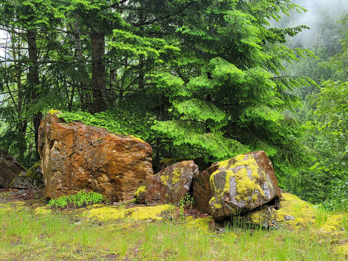 Autumn Cider. A poetry writing prompt | by Julia A. Keirns | Read or ...