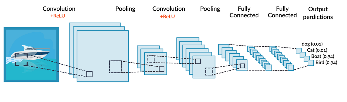 Introduction to Convolutional Neural Network | by Paras Mani Gurung ...