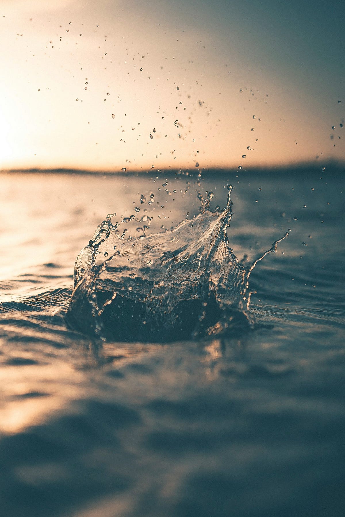 Why Water is the Most Precious Thing in the World? | by Tanya | Medium