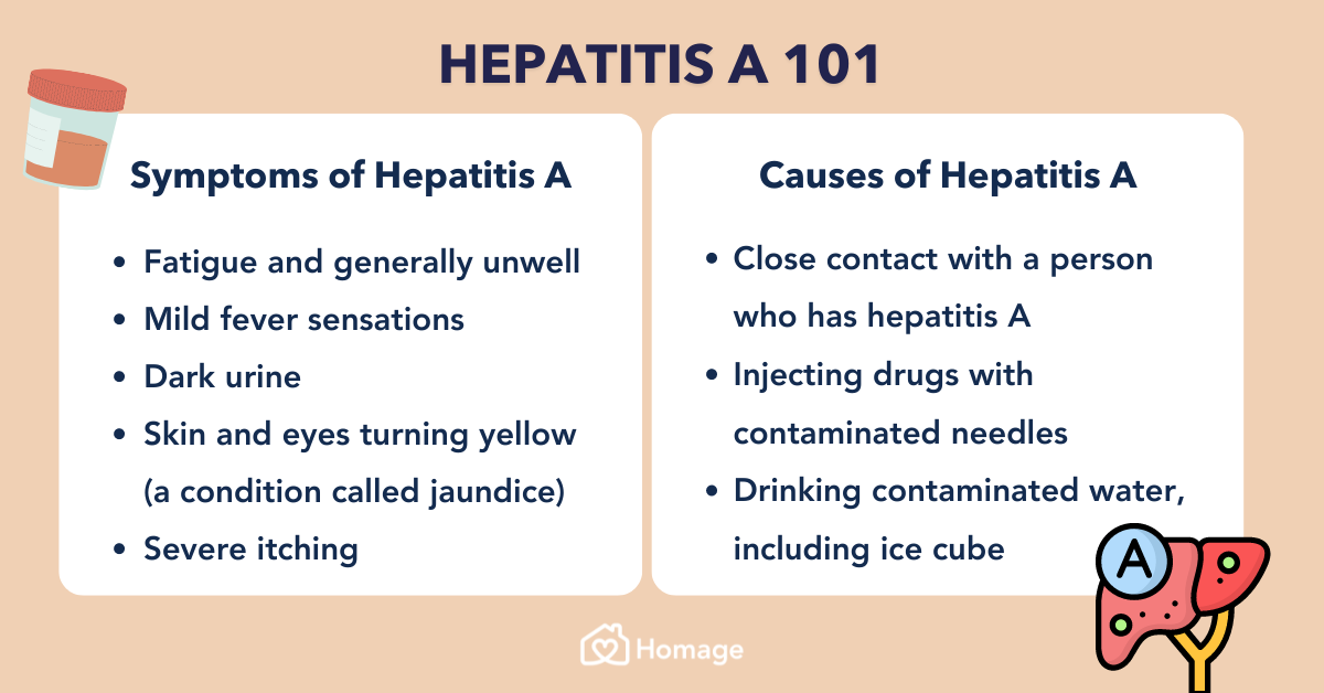 Understanding Hepatitis A Symptoms: A Comprehensive Guide to Raise ...