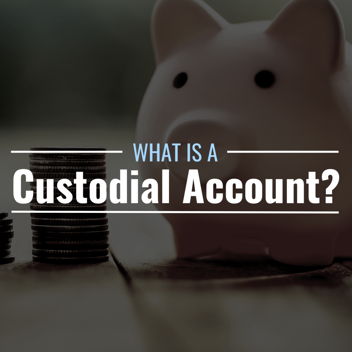 TYPE Of CUSTODIAN ACCOUNT Function of custodian account 1.hold in safe ...