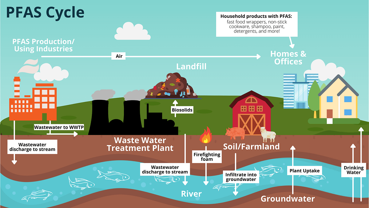 The Ultimate Guide to PFAS Home Water Filters: Choosing the Best ...