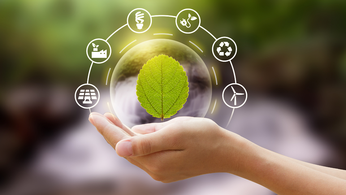 YOUR FIRST STEPS TOWARDS GREEN LIVING. | by Eco-Friendly Clothing | Medium