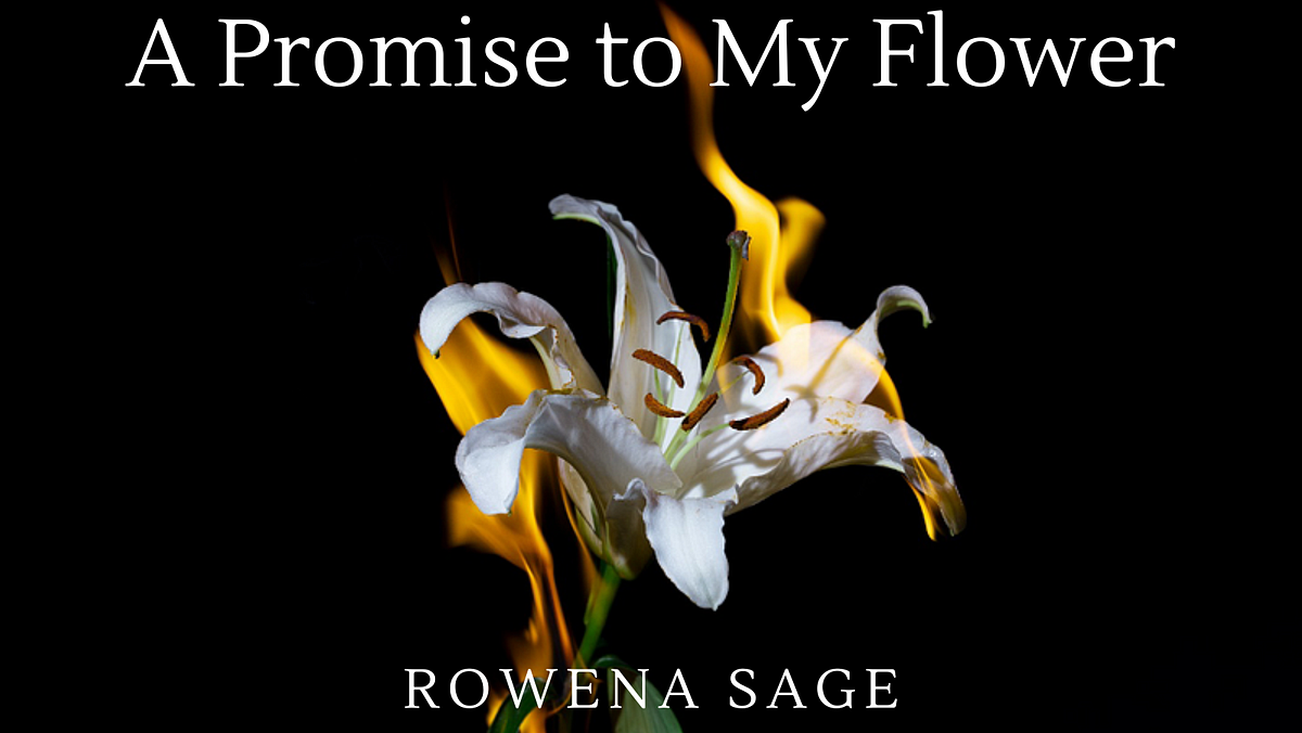 A Promise to My Flower. Releasing my demons before I am… | by Rowena ...