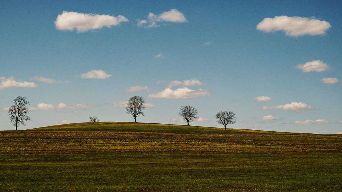 An unexpected shot. Today I want to talk about the picture… | by Tim Bindner | Medium