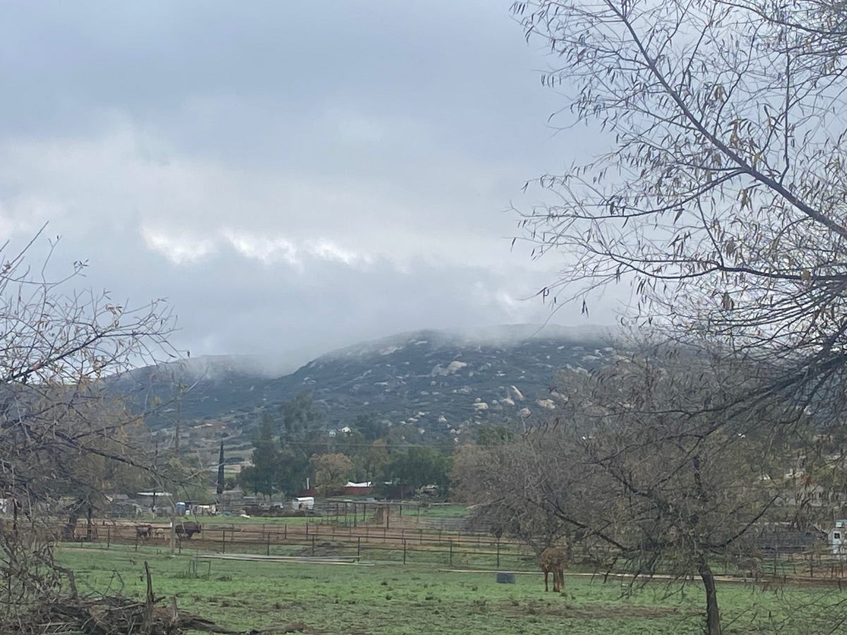 When Clouds Touch the Ground - The Daily Cuppa - Medium