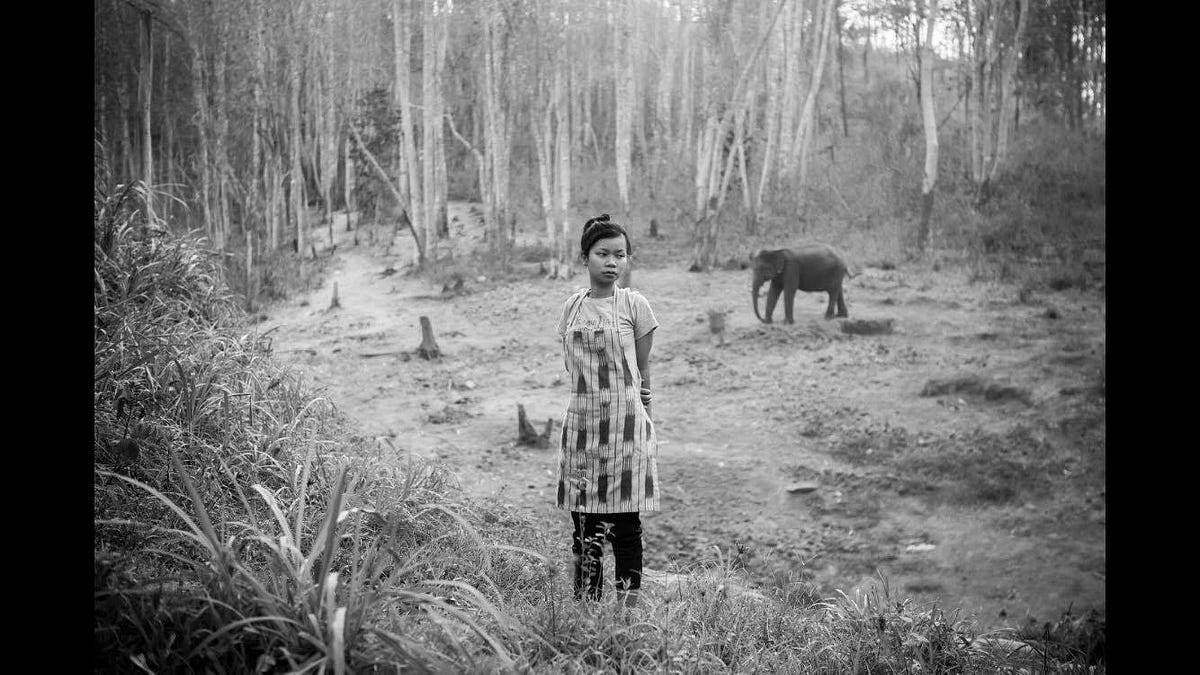 Championing Female Eco-Warriors and Imagery to Fight Climate Change ...