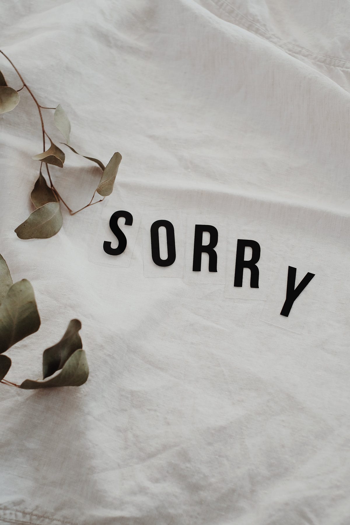 The Power of Magic Words: Sorry | by Victoria Jesutomiigba Abiodun ...