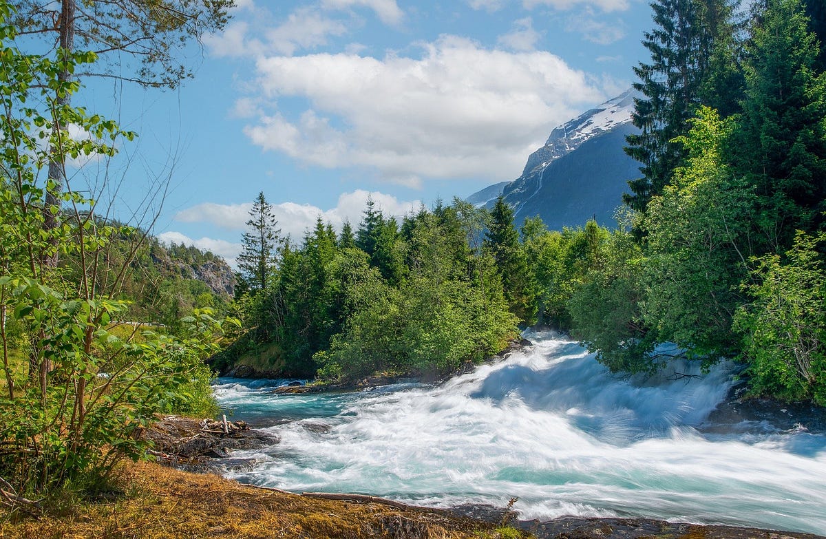 Discover the Beauty of Nature and Relaxation with Our 4K Wildlife and ...