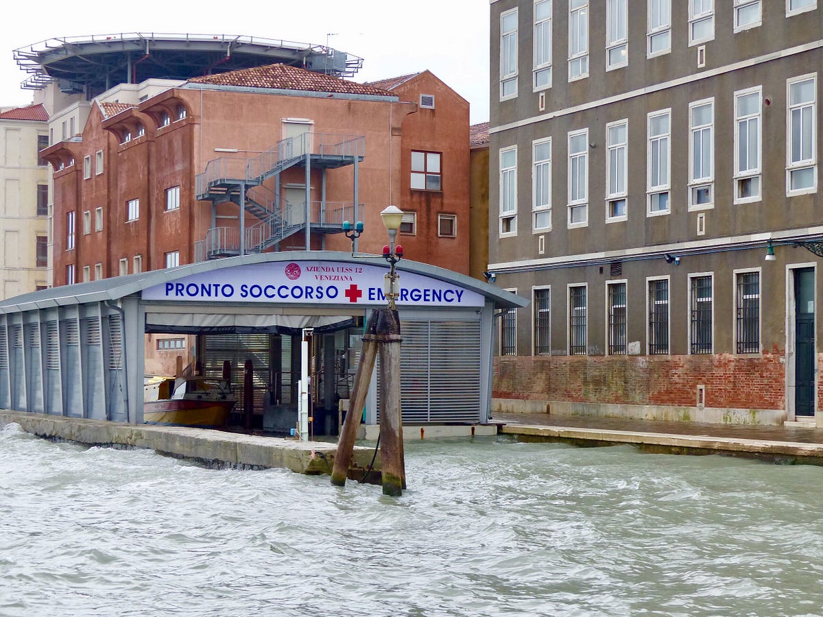 Day 48…November 7, 2017…Biennale! | by Lynelle Leess | Medium